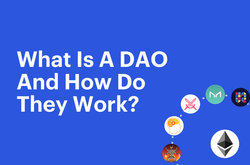 What Is DAO? The Jargon - Free Beginner’s Guide 2022